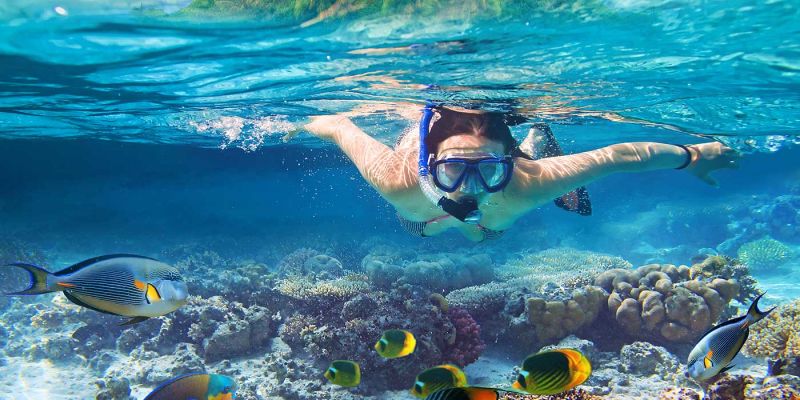 Hurghada Snorkeling| Snorkeling Sur L’île De Mahmya| Excursions Hurghada