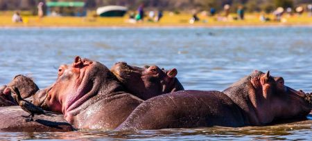 Main Lakes In Africa | African Great Lakes
